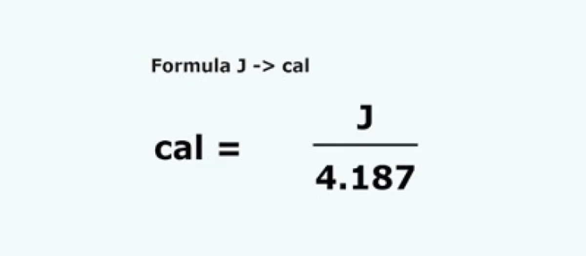 Come calcolare le calorie la formula esatta - Tuttouomini